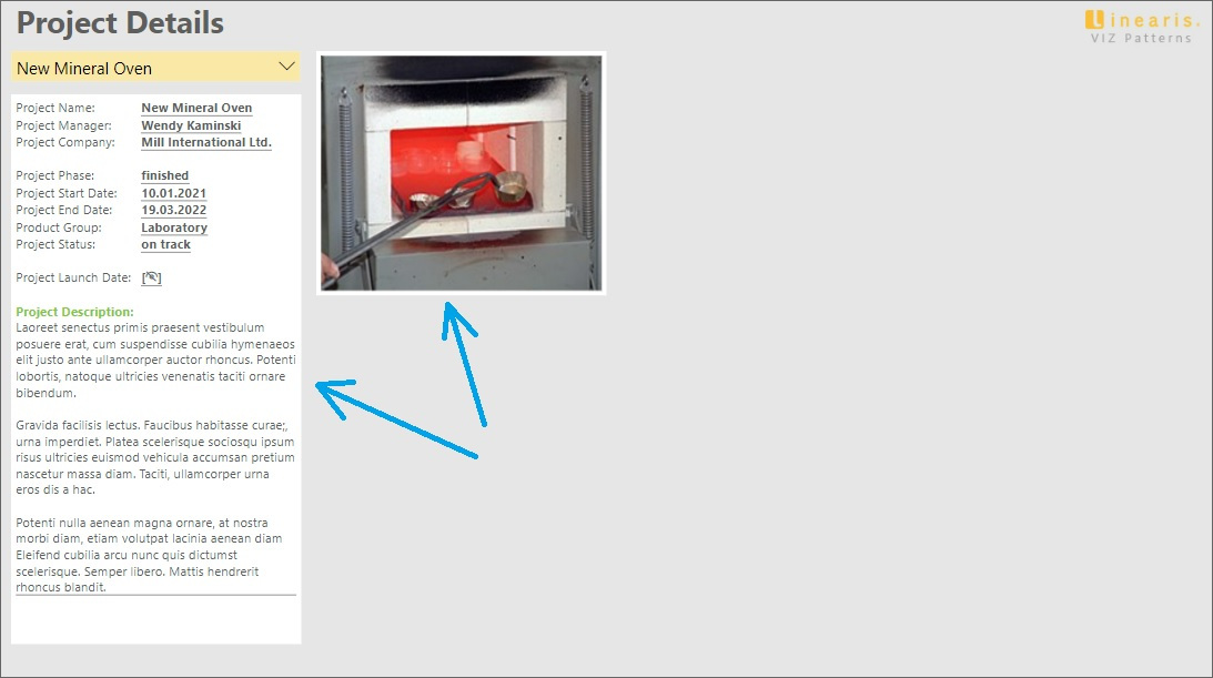 Visualisierung von Stammdaten in Power BI – Linearis :: Power BI & data1.io
